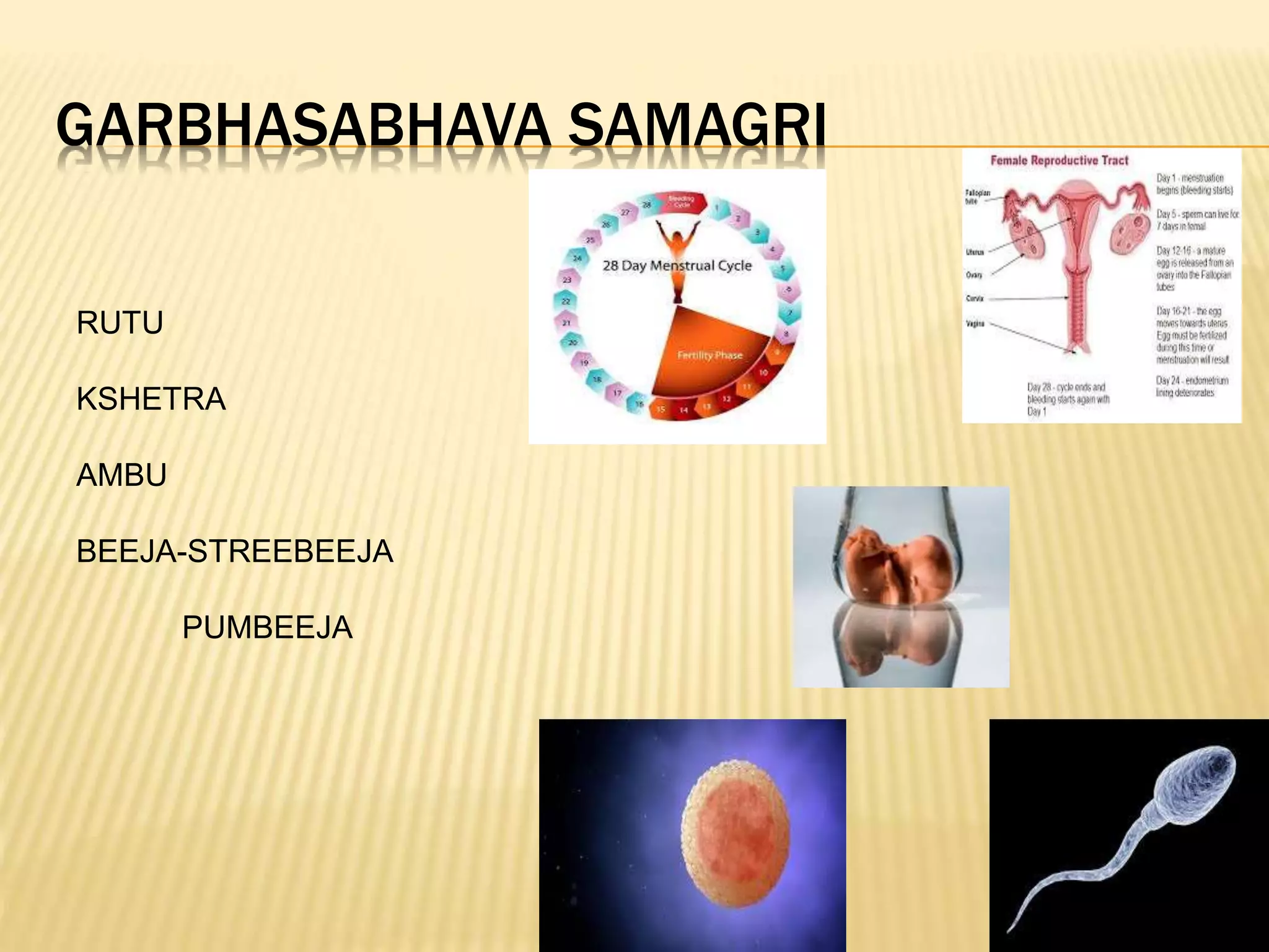 BASIC CONCEPTS OF GENETICS IN AYURVEDA ppt.pptx