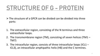 Basic concepts of G – protein coupled receptor.pptx