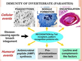 Basic concepts of immunology, and Defense mechanisms mounted by ...