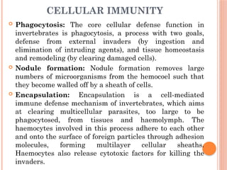 Basic concepts of immunology, and Defense mechanisms mounted by ...