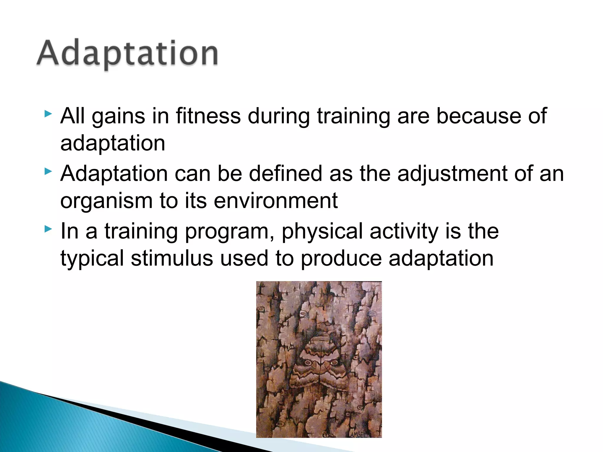 Basic concepts of training theory: WC HPE 345 | PPT