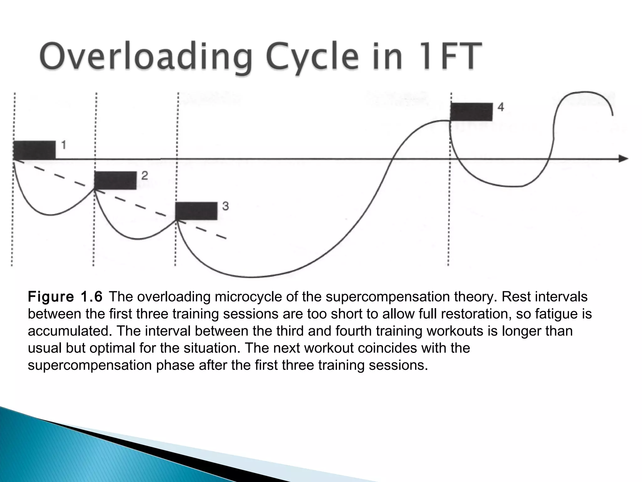 Basic concepts of training theory: WC HPE 345 | PPT