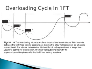 Basic concepts of training theory: WC HPE 345 | PPT