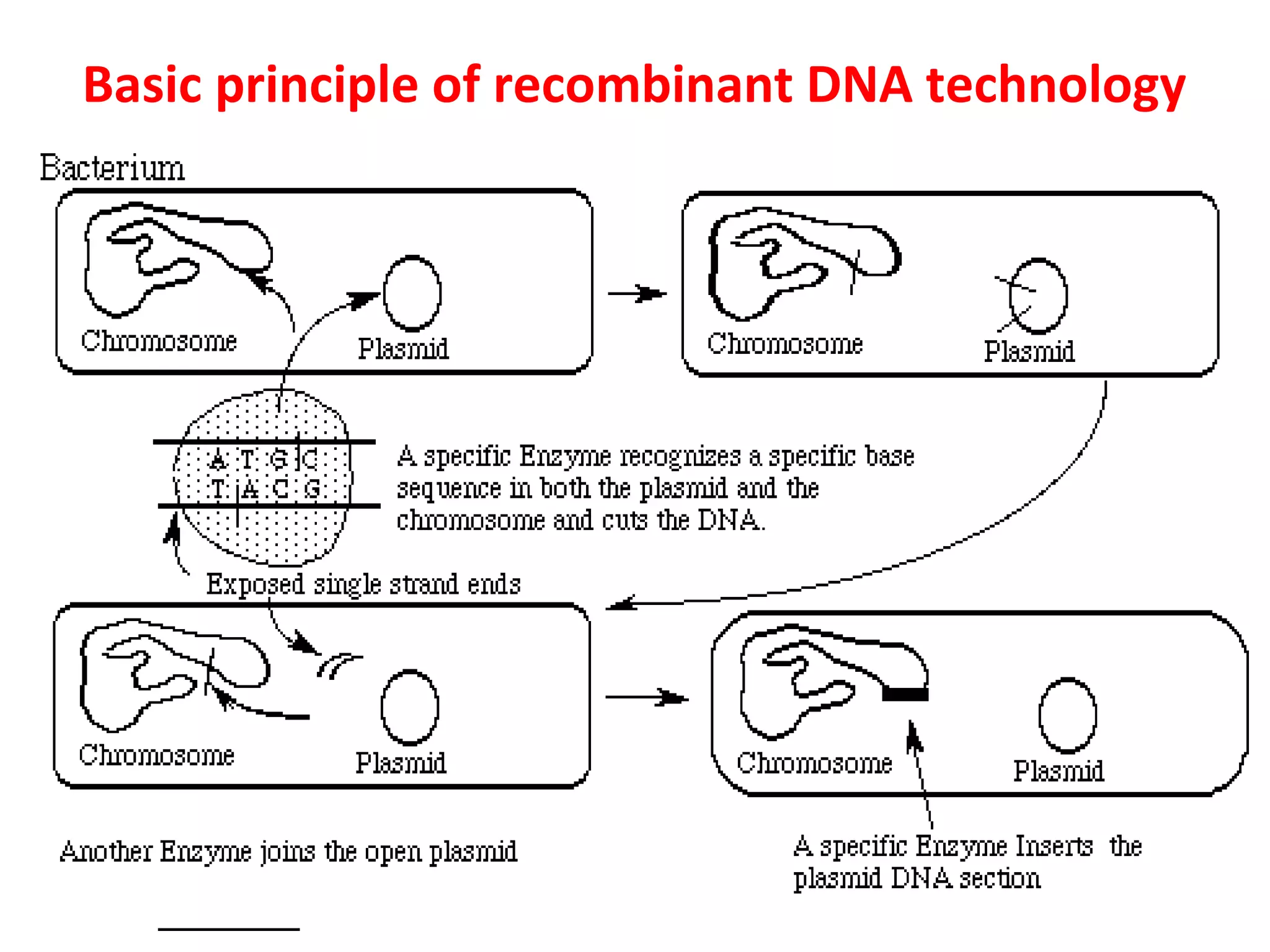 Basic concepts & scope of recombinant DNA technology | PPT