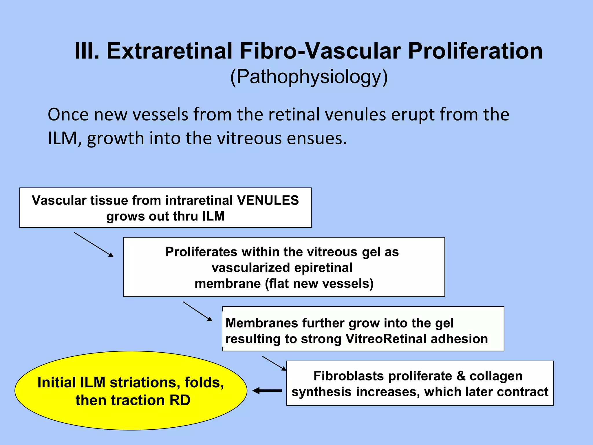 Pathology of Retina and Vitreous | PPTX