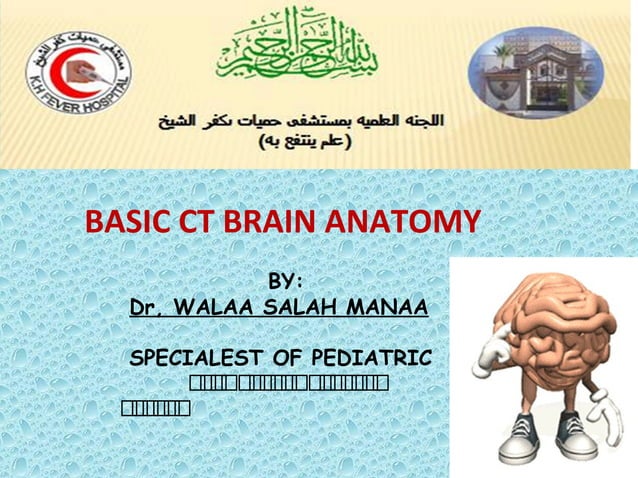 Basic ct brain and rapid CT interpretation | PPT