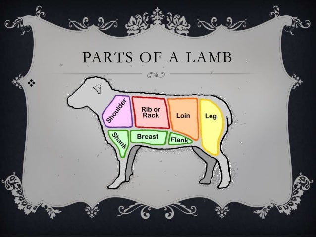 Basic Cuts of Lamb