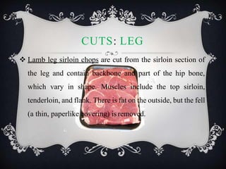Basic cuts of lamb practical first (1) | PPT