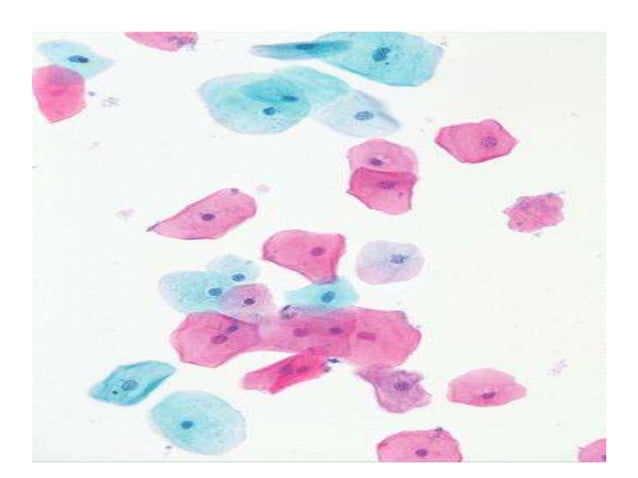 basic cytology techniques.pptx