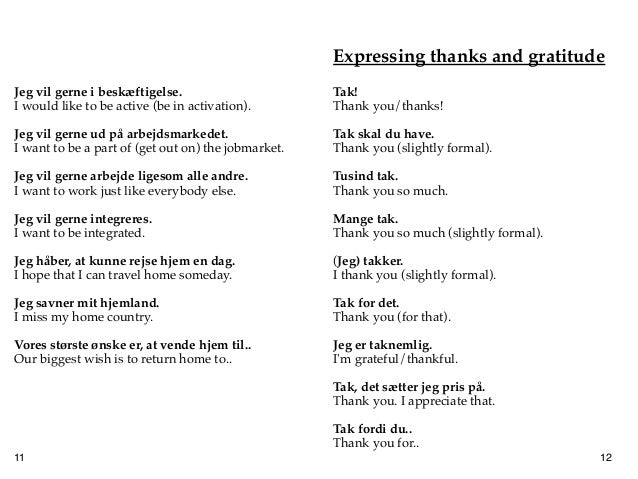 Basic danish phrases