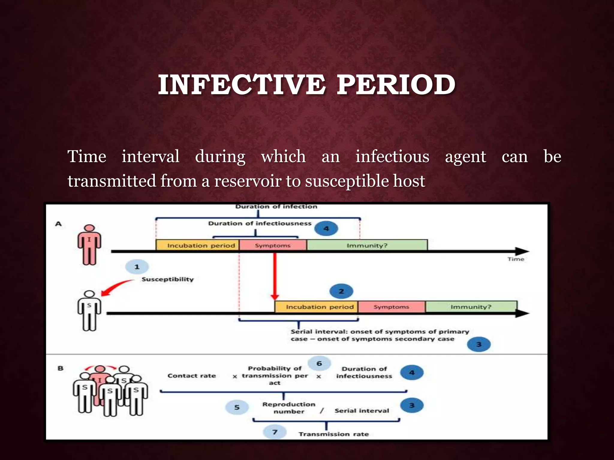 Basic Definations and Terminology.pptx