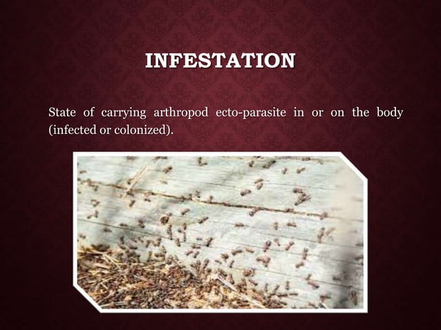 Basic Definations and Terminology.pptx