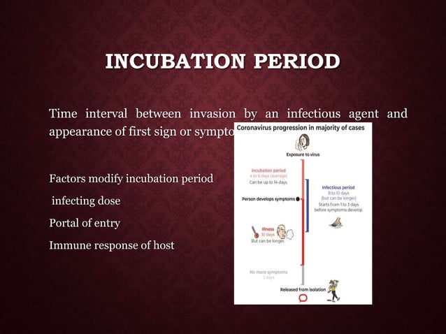 Basic Definations and Terminology.pptx