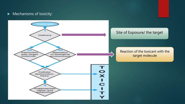 Basic definition and types of toxicology | PPTX