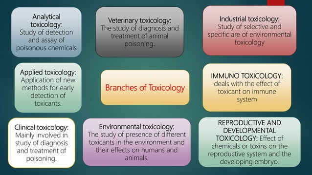 Basic definition and types of toxicology | PPTX