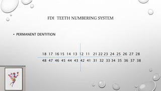 Basic dentistry for Homeopathy and MBBS | PPTX | Dental Health ...