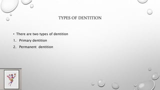 Basic dentistry for Homeopathy and MBBS | PPTX | Dental Health ...