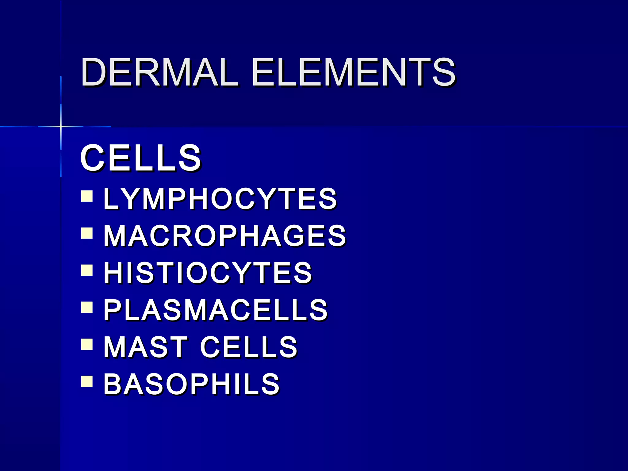 Basic dermatology by Dr. Haseeb Ahmed | PPT
