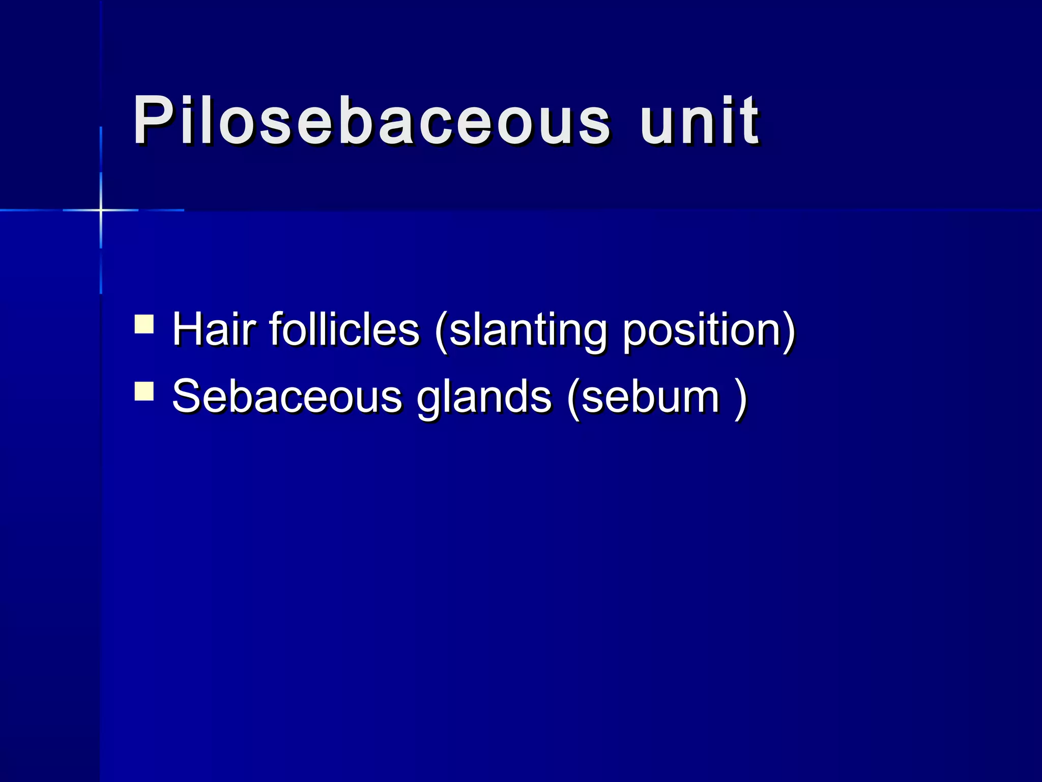 Basic dermatology by Dr. Haseeb Ahmed | PPT