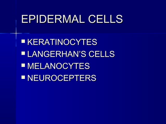 Basic dermatology by Dr. Haseeb Ahmed | PPT | Skin and Dermatology ...