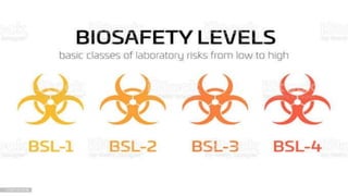 Basic design and organisation of diagnostic laboratory | PPTX