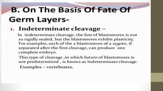 Basic dev bio 2 | PPT