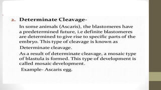 Basic dev bio 2 | PPT