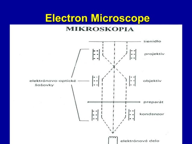 Basic_Diagnostics_Method_in_Medicine.ppt