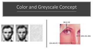 Basic digital image concept | PPTX