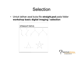 Basic Digital Imaging | PDF