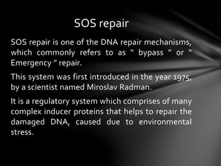BASIC DNA REPAIR MECHANISMS.pptx