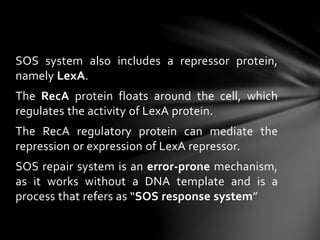 BASIC DNA REPAIR MECHANISMS.pptx