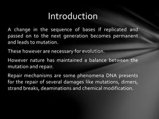 BASIC DNA REPAIR MECHANISMS.pptx