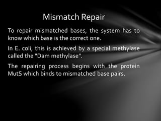 BASIC DNA REPAIR MECHANISMS.pptx