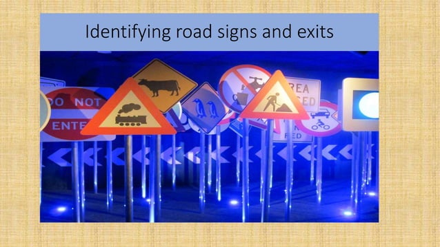 Basic driving skills | PPTX