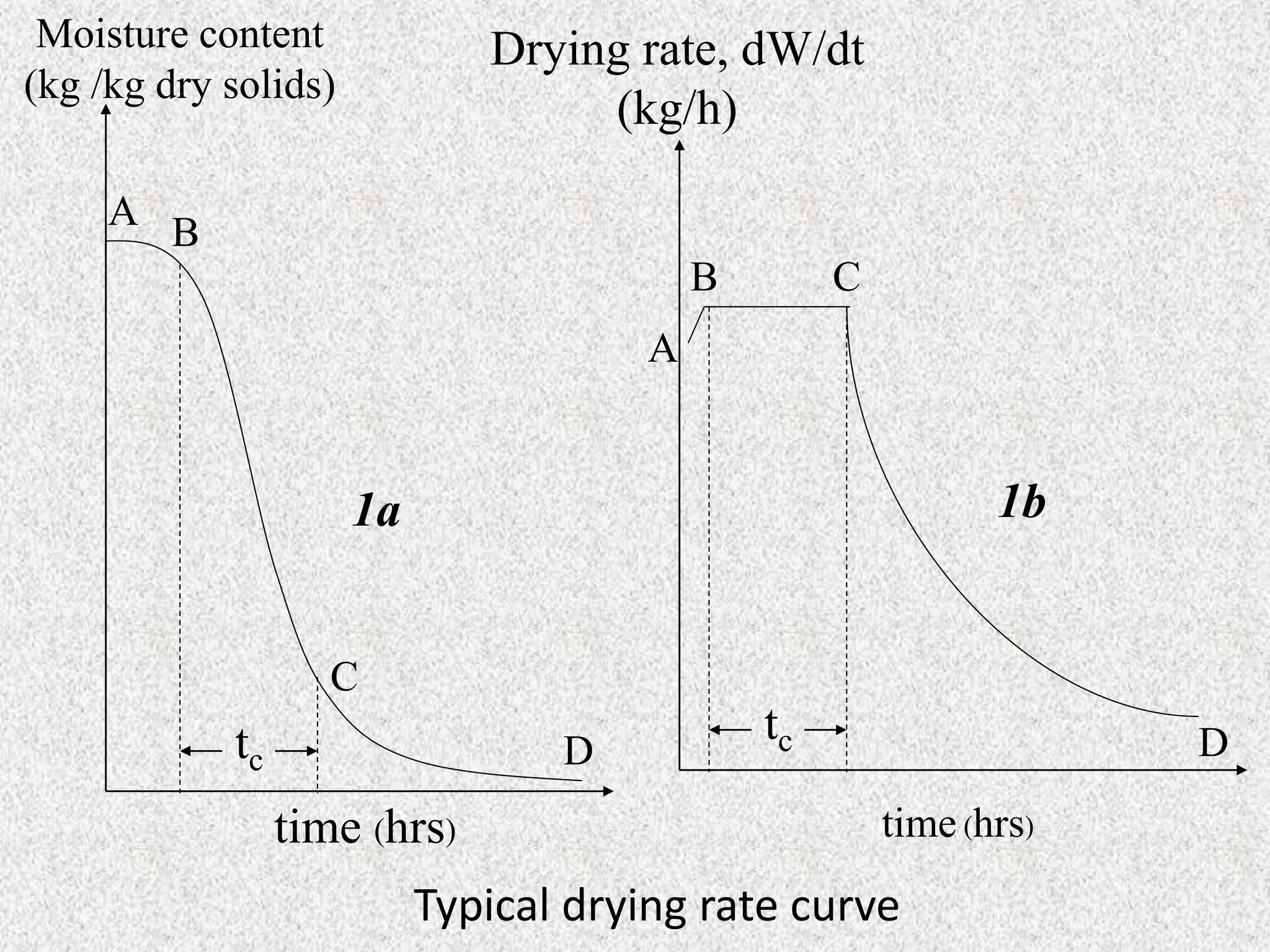 Theory of Drying(Food Engineering) | PPTX