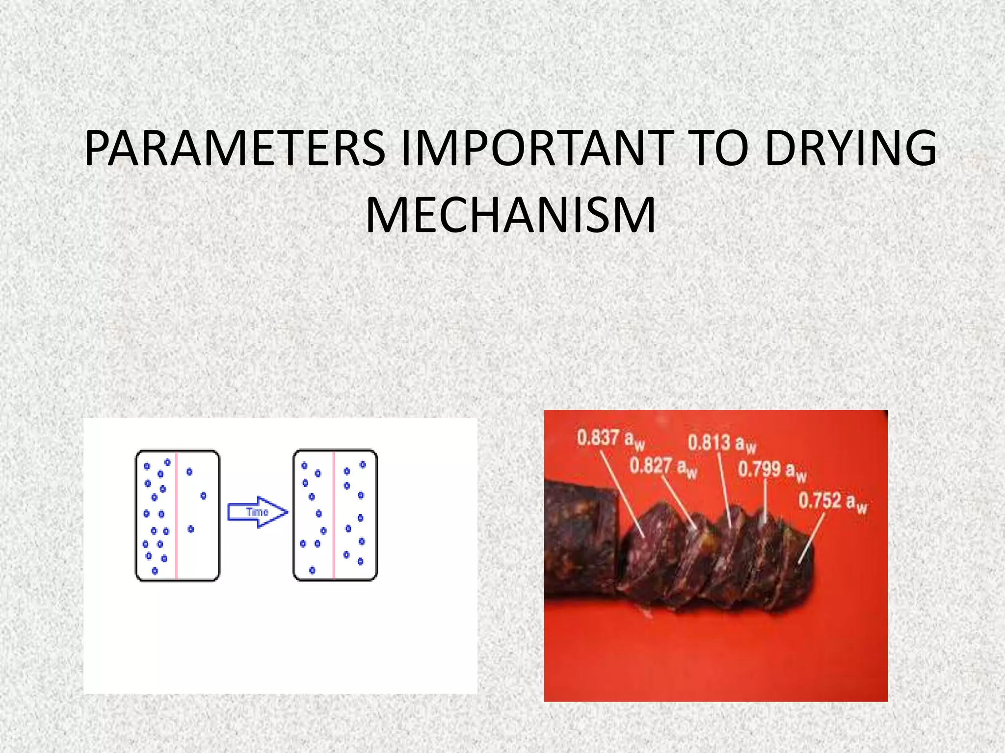 Theory of Drying(Food Engineering) | PPTX