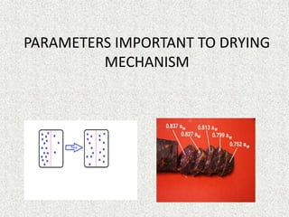 Theory of Drying(Food Engineering) | PPTX