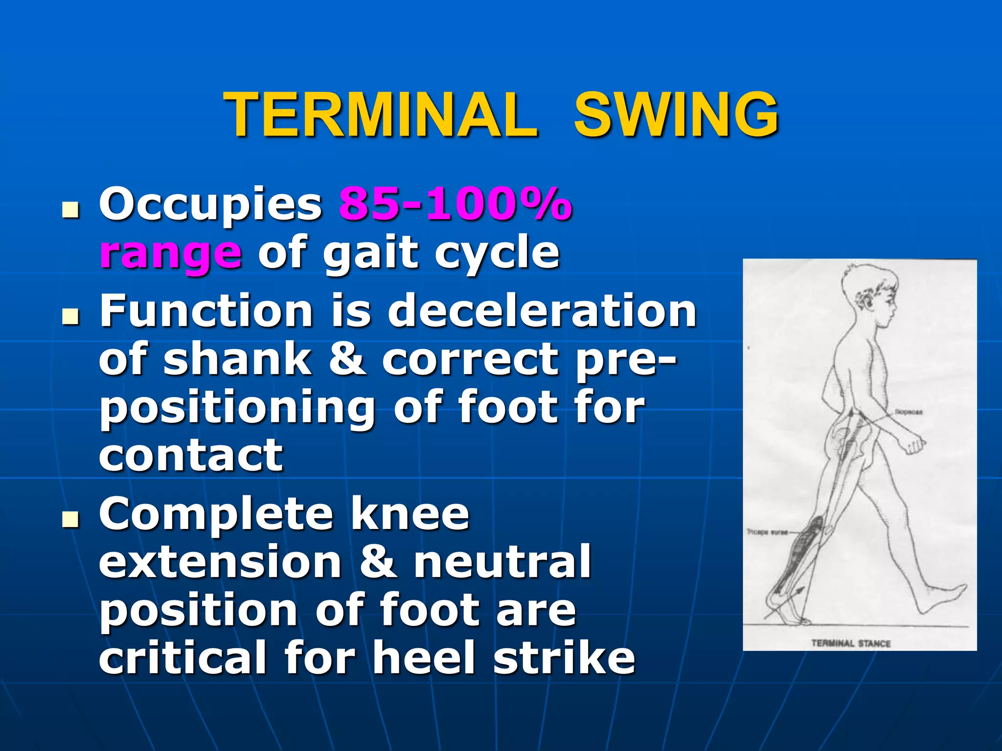 Basic Dynamics of Hum Motion (Gait Analysis).ppt
