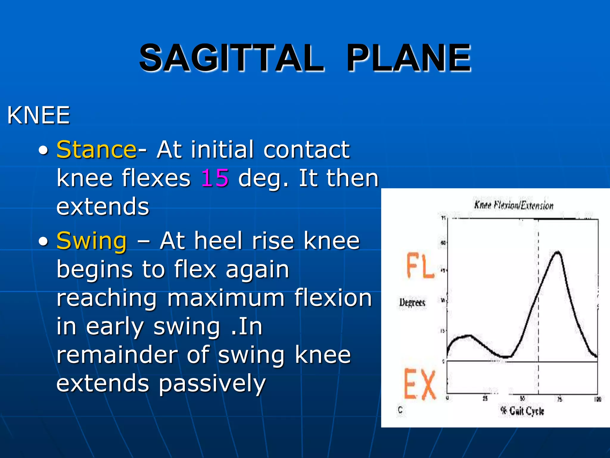 Basic Dynamics of Hum Motion (Gait Analysis).ppt