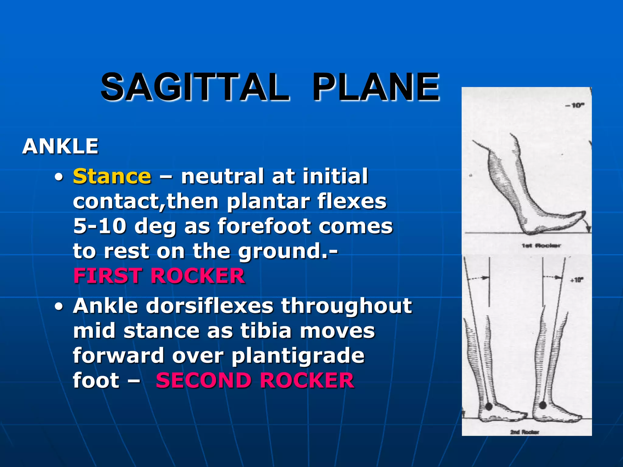 Basic Dynamics of Hum Motion (Gait Analysis).ppt