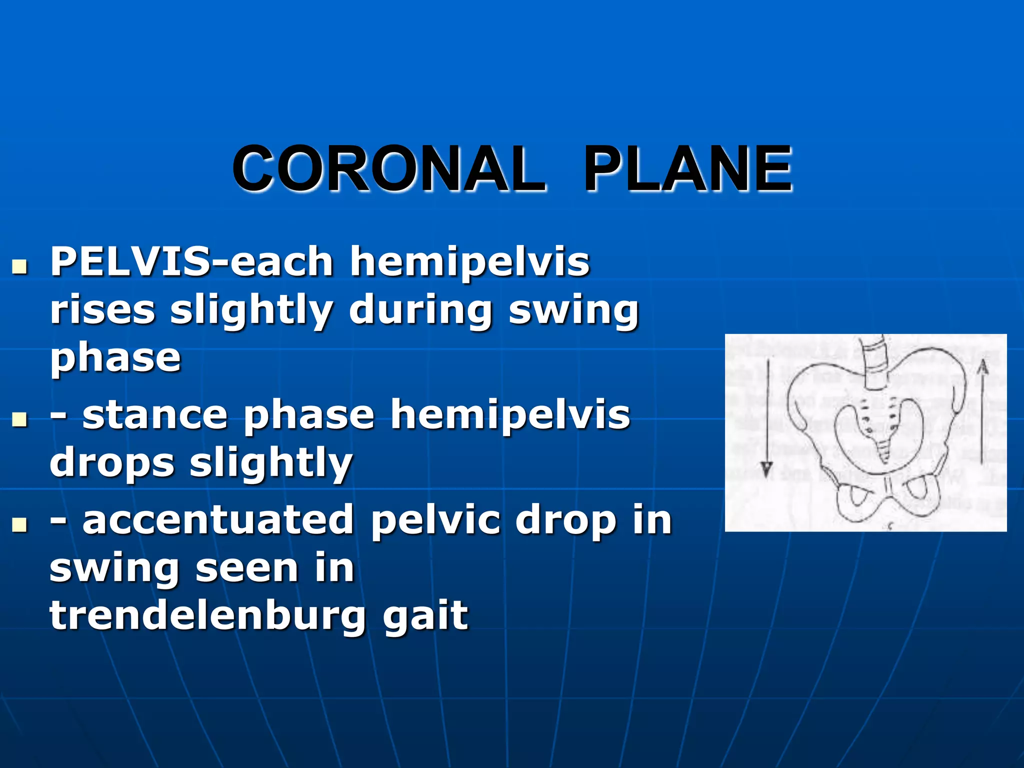 Basic Dynamics of Hum Motion (Gait Analysis).ppt