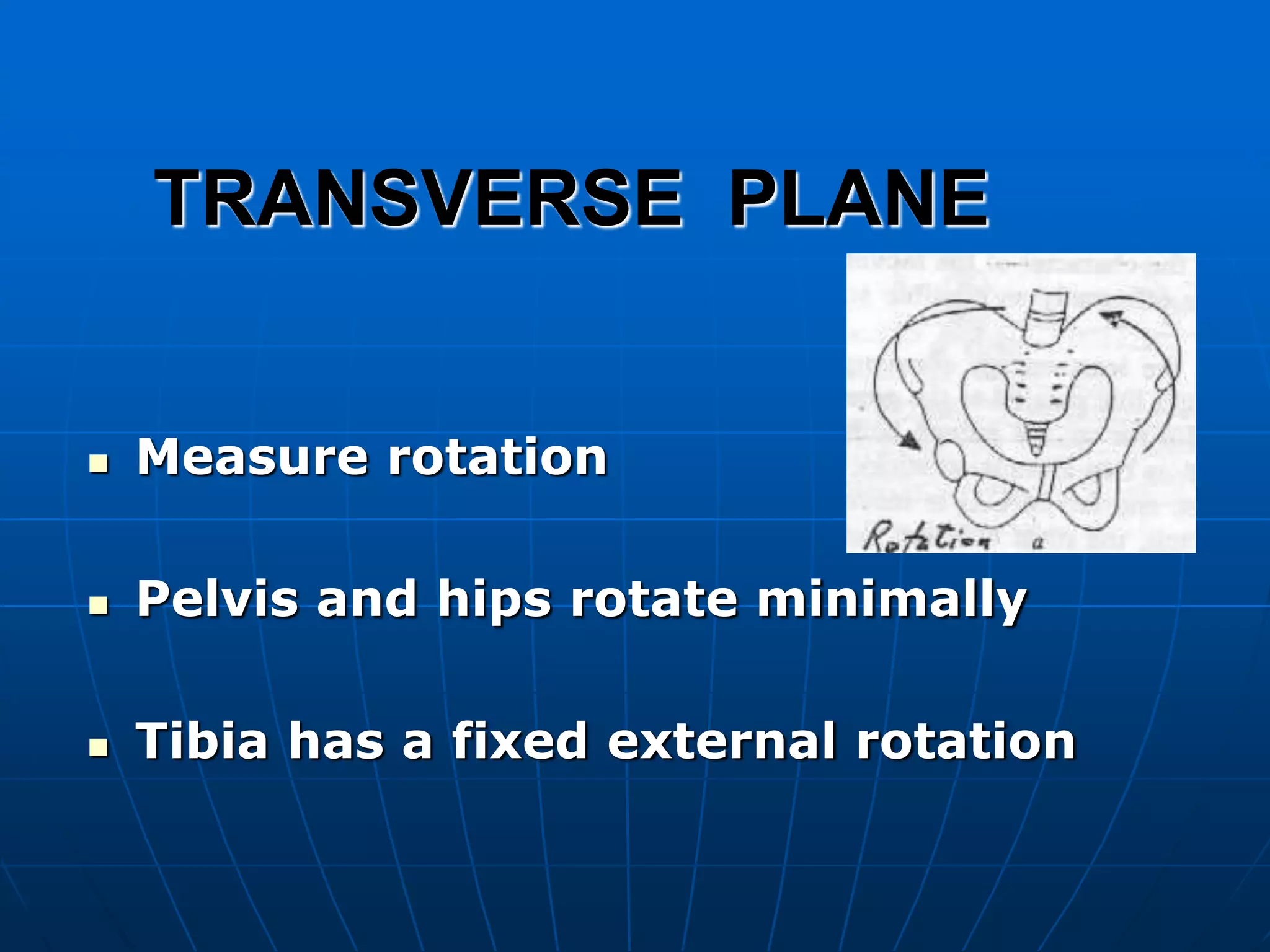 Basic Dynamics of Hum Motion (Gait Analysis).ppt