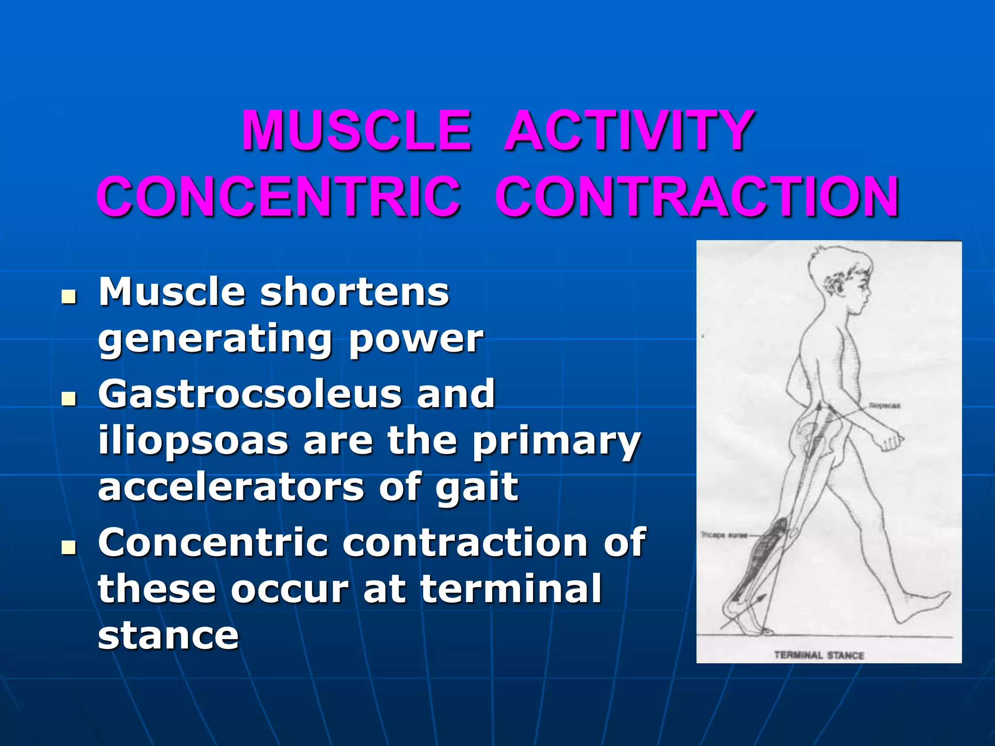 Basic Dynamics of Hum Motion (Gait Analysis).ppt