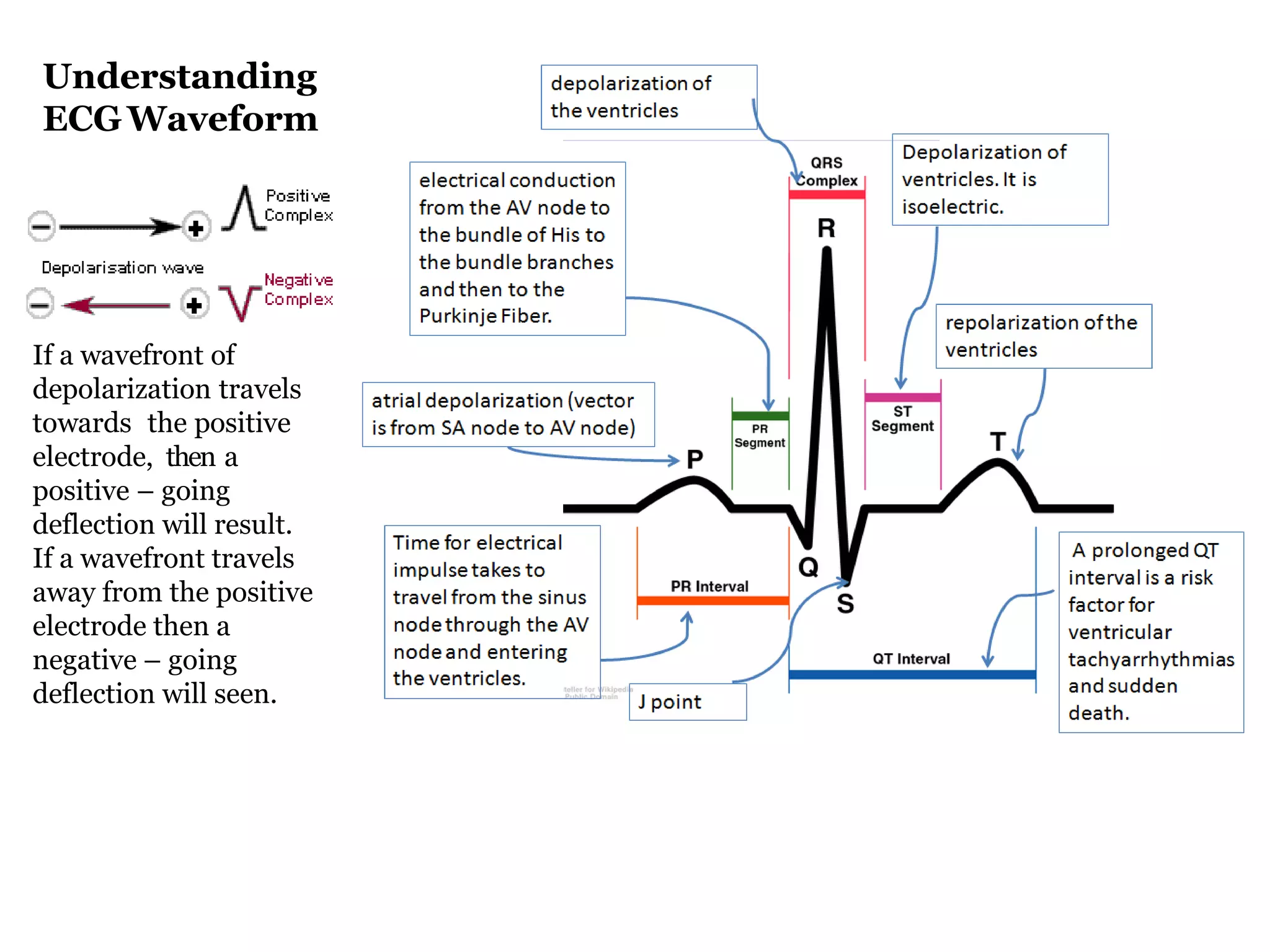Basic ecg | PPT