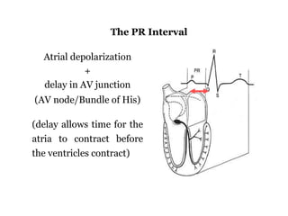 Basic ecg | PPTX