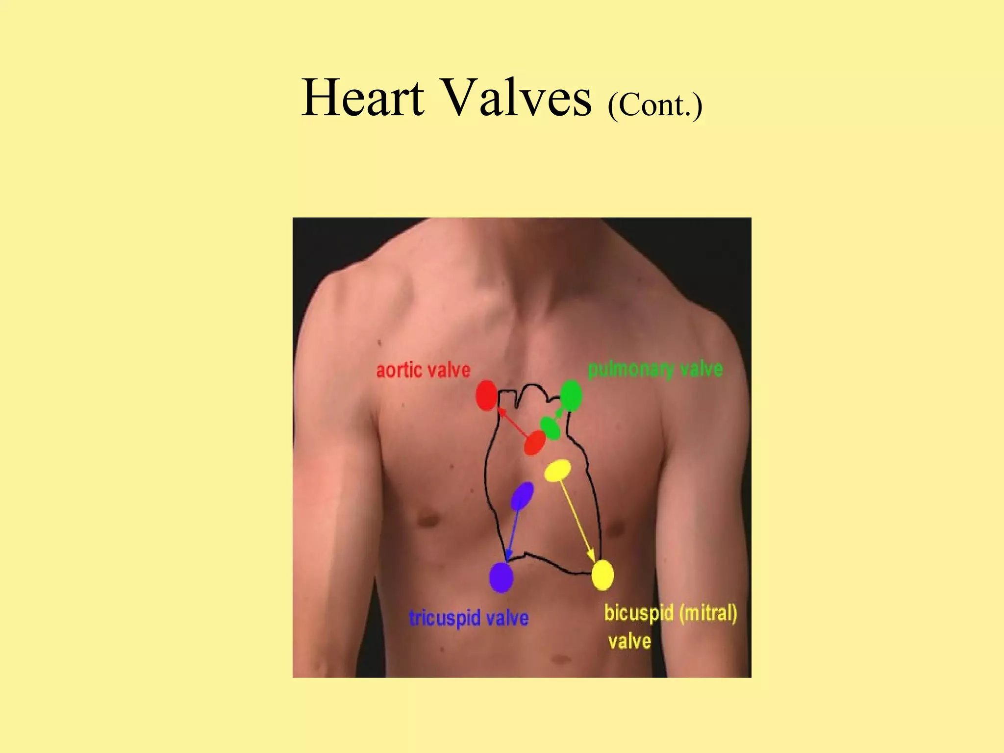 Basic ECG | PPT