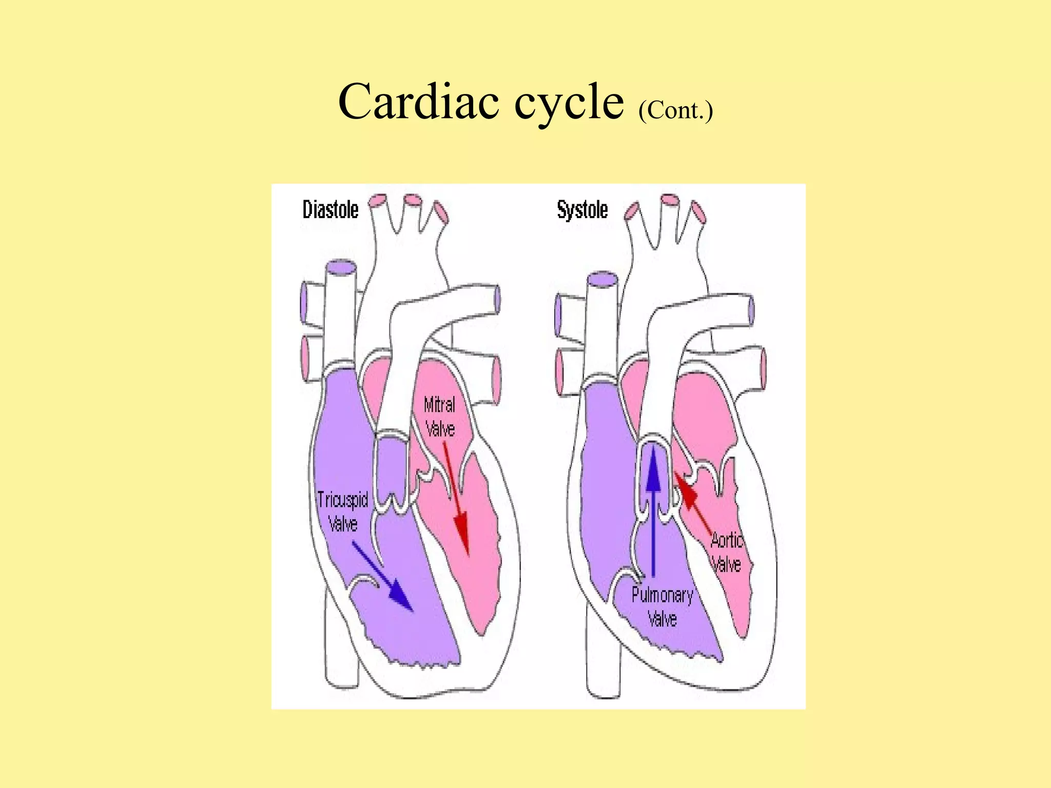 Basic ECG | PPT