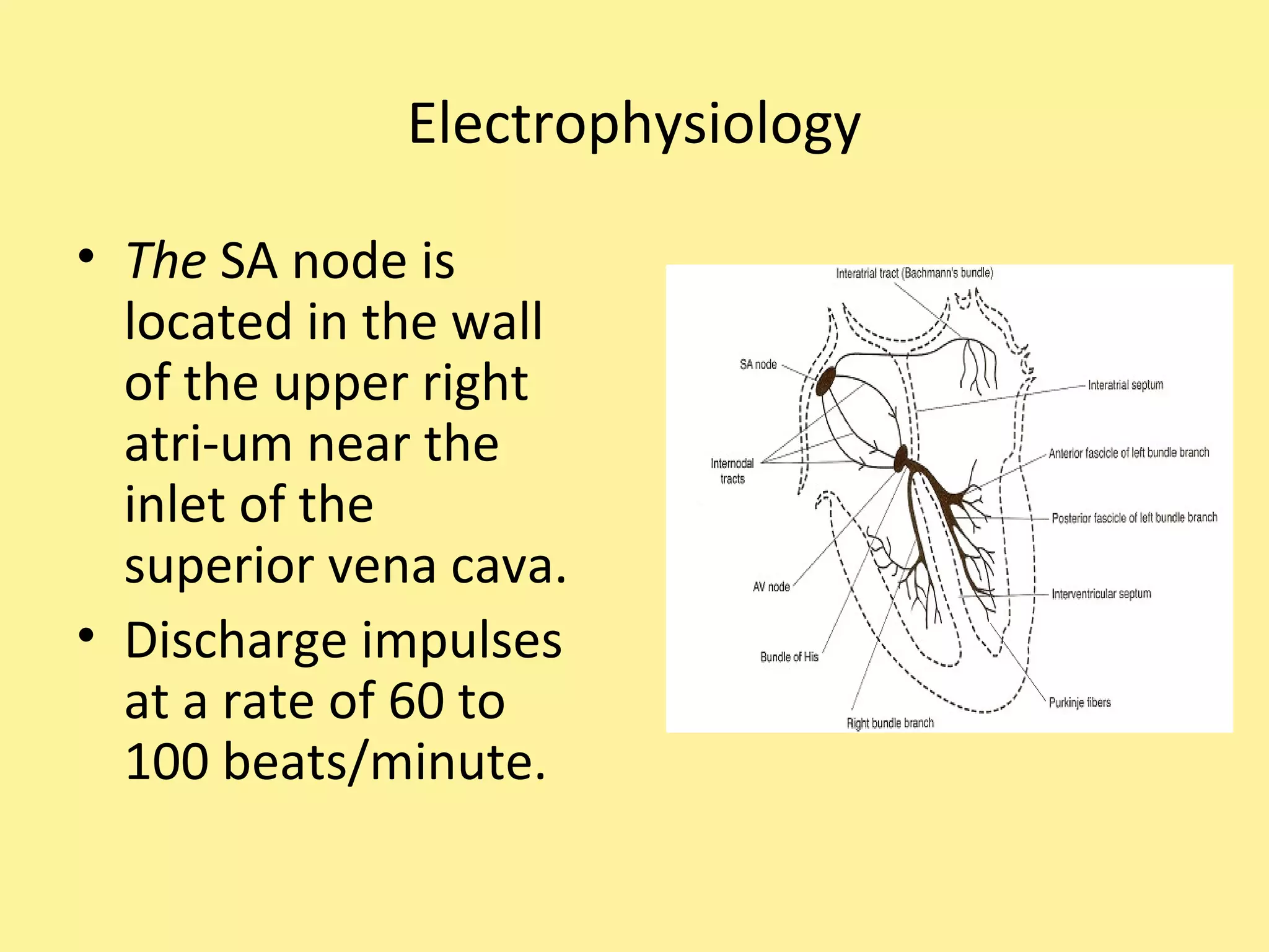 Basic ECG | PPT