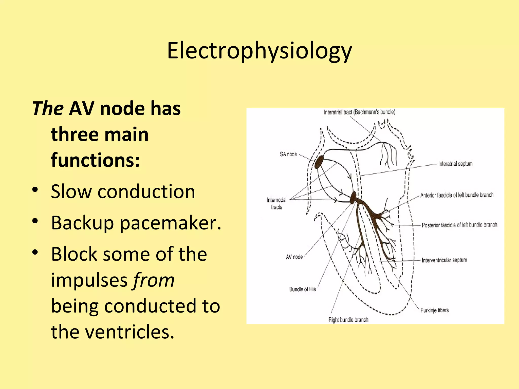Basic ECG | PPT